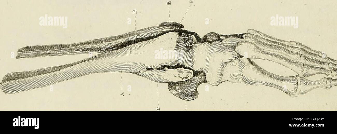 A treatise on dislocations and on fractures of the joints . dons of ...