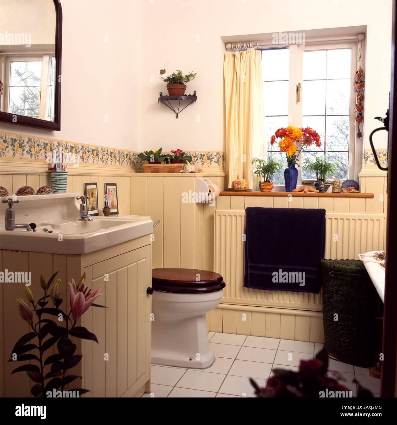 Wc basin hi-res stock photography and images - Alamy