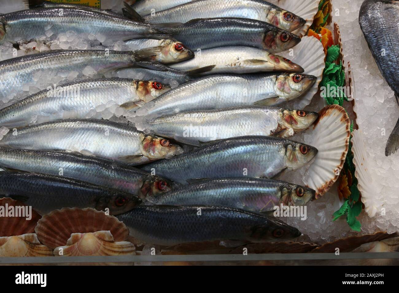 Leeds fish market hi-res stock photography and images - Alamy