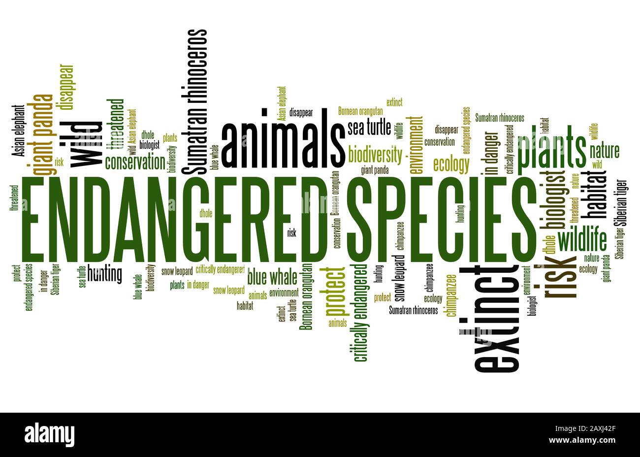 Endangered species - environment issues and concepts word cloud ...