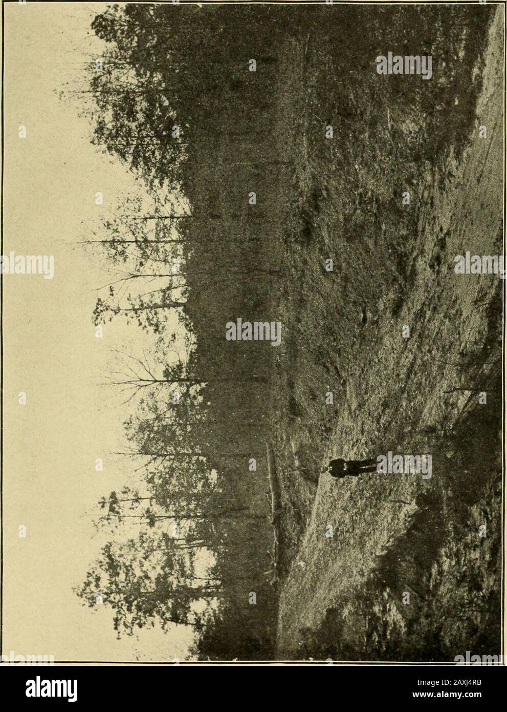 Fort of colonial mobile hi-res stock photography and images - Alamy