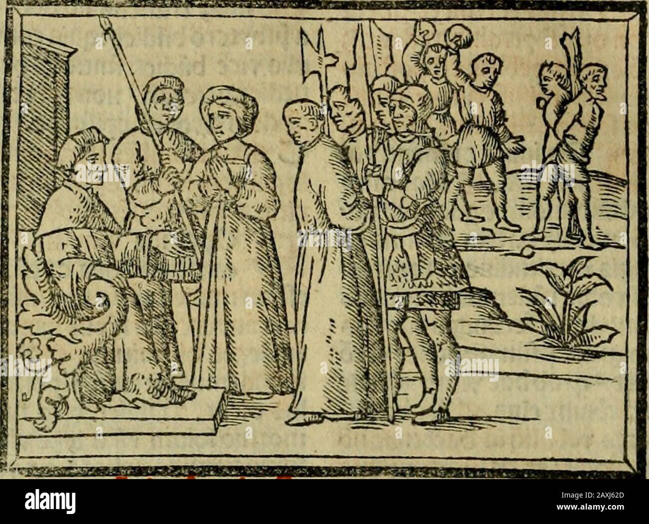 Amplissimis hi-res stock photography and images - Alamy