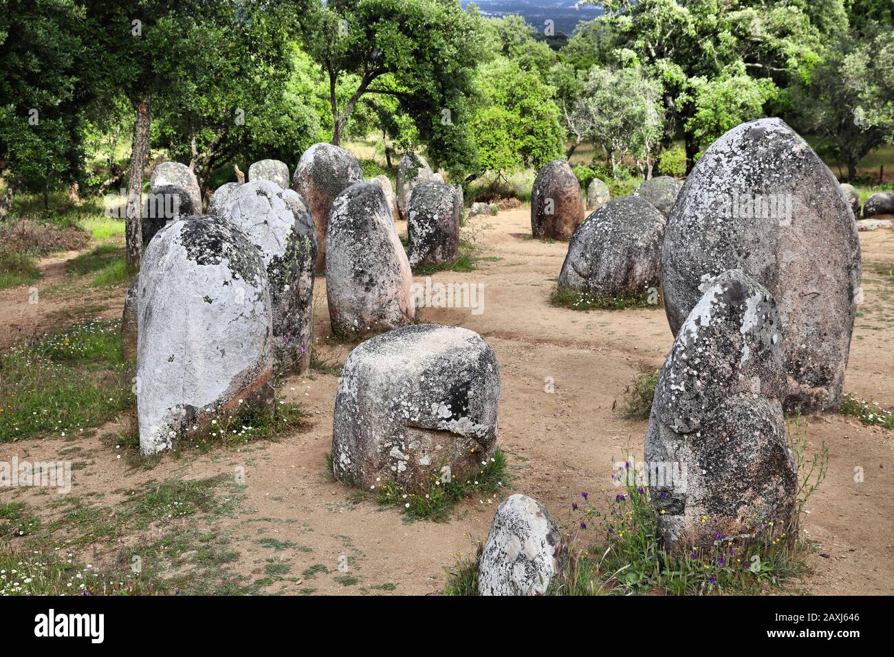 Neolithic site in Europe. Almendres Cromlech megalith stones in ...