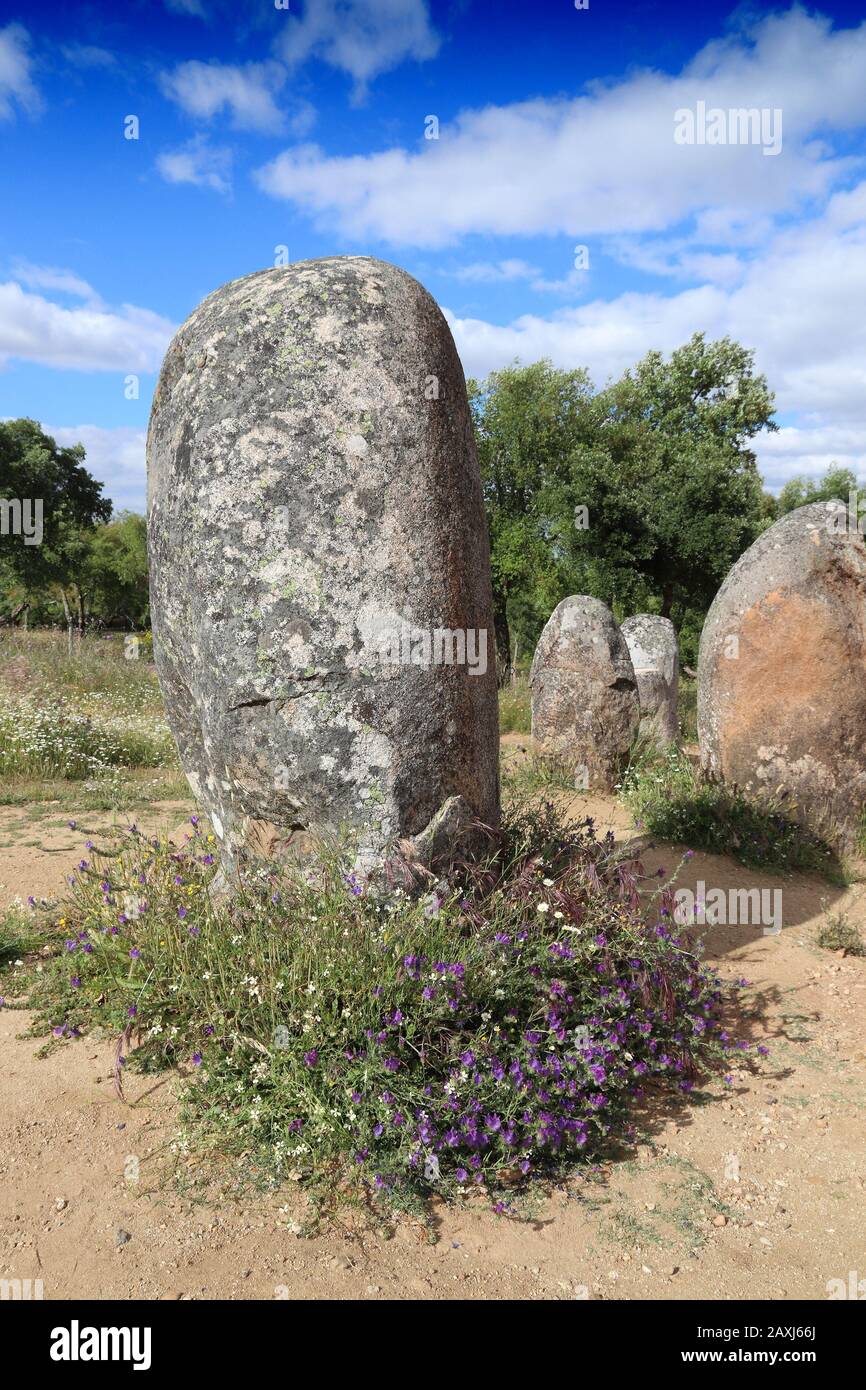 Almendres Cromlech - Neolithic era megalith monument in Portugal Stock ...