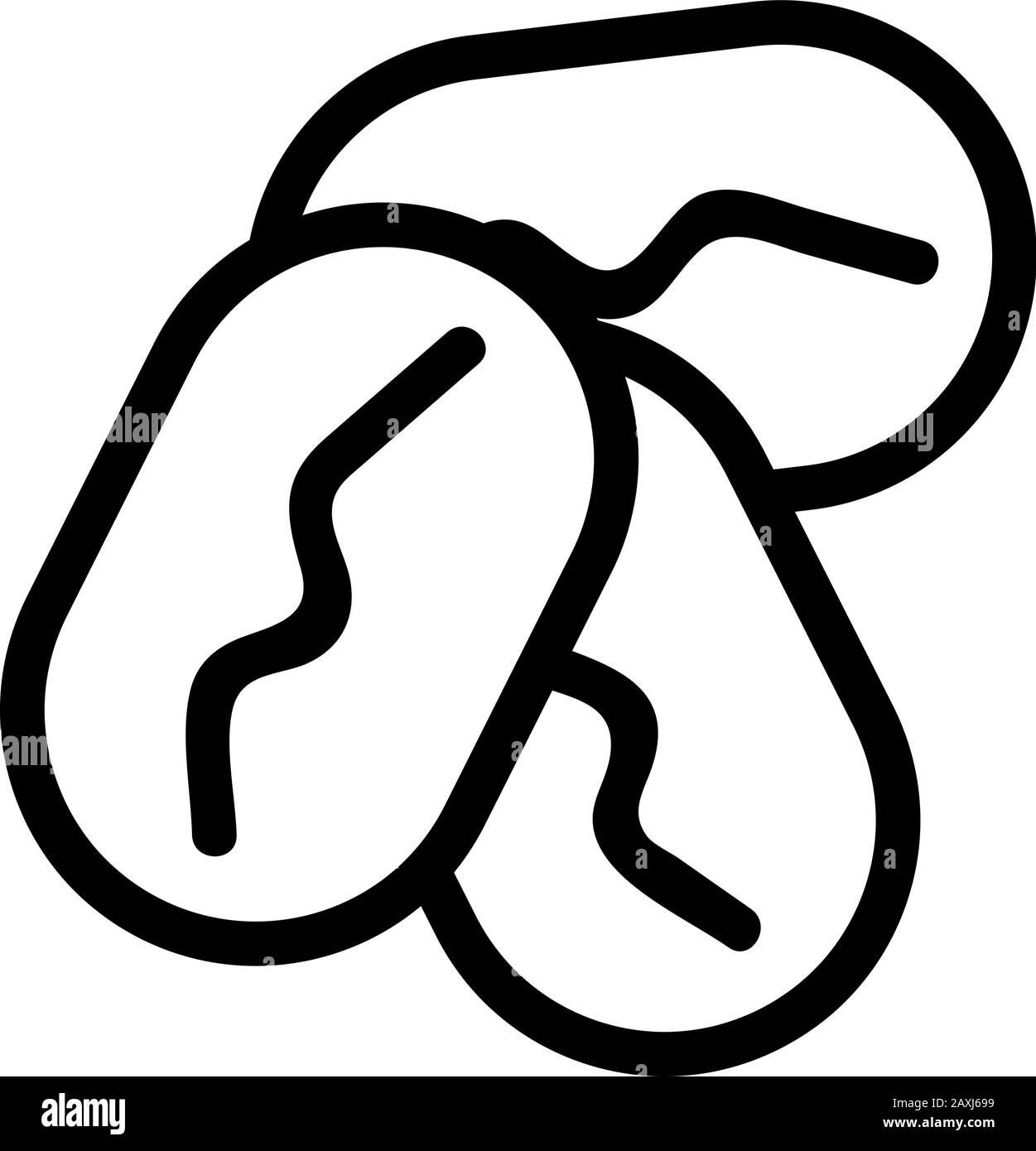 Nut icon vector. Isolated contour symbol illustration Stock Vector ...