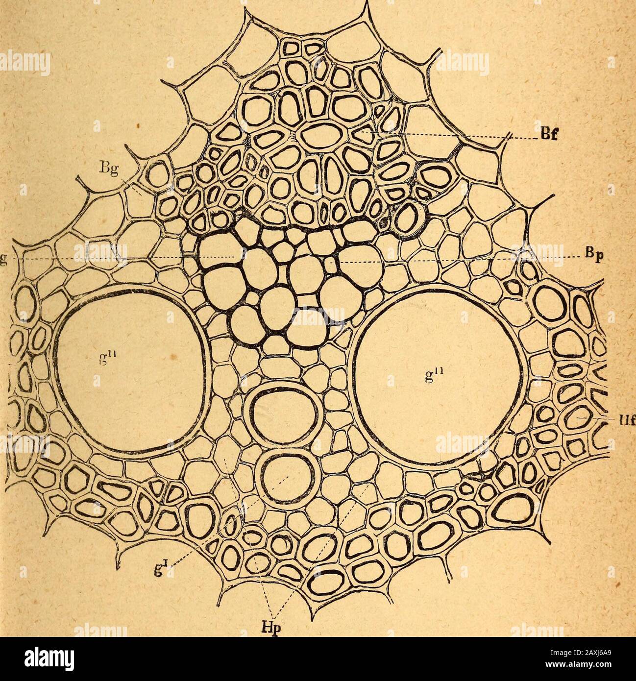 Structural transformation hi-res stock photography and images - Alamy