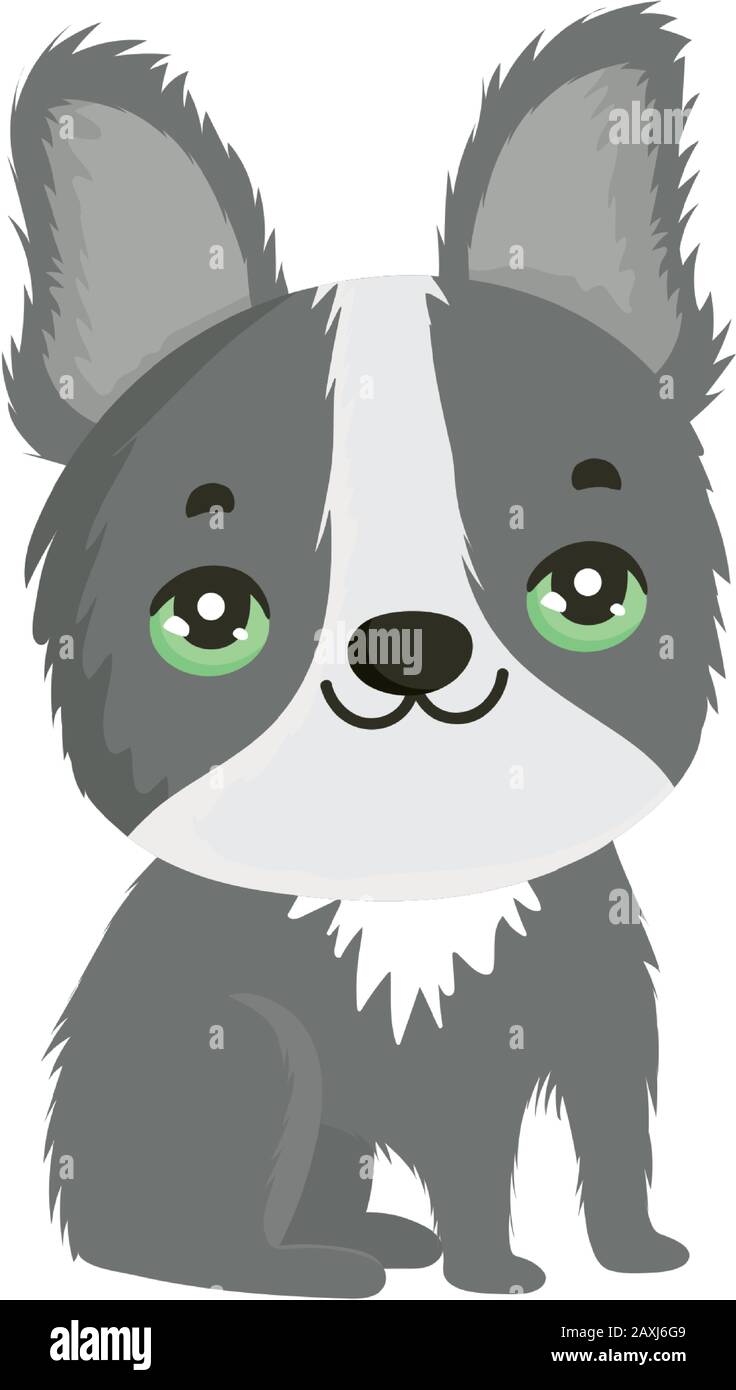 cute gray dog domestic sitting cartoon pets on white background vector ...