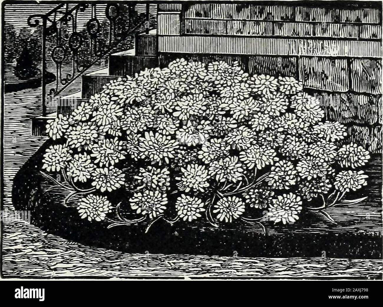 Inflated fruits hi-res stock photography and images - Alamy