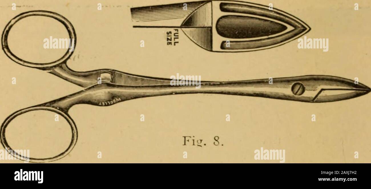 Catalogue of surgeons instruments and medical appliancesElectro ...