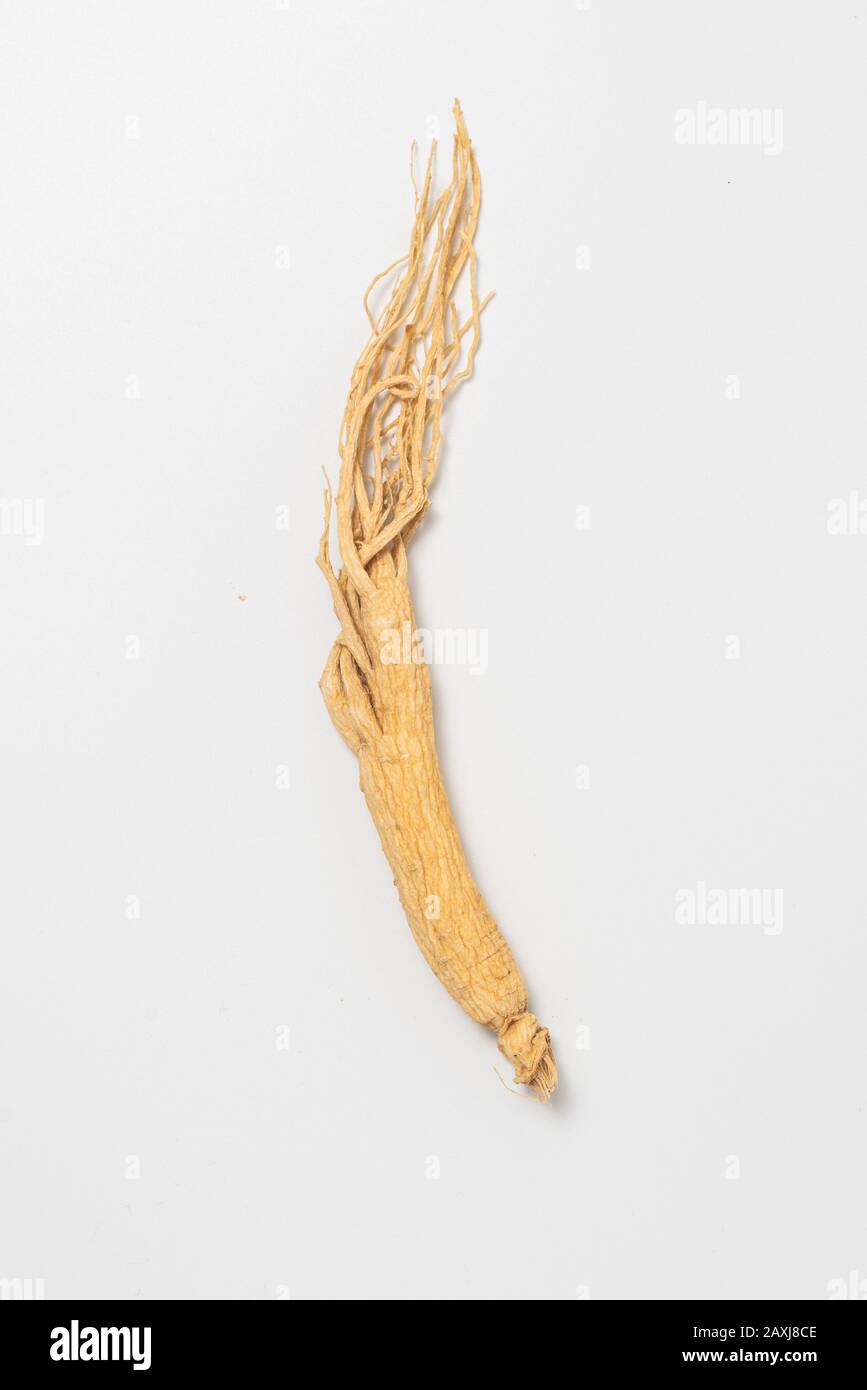 Natural Chinese Ginseng on white background Stock Photo - Alamy