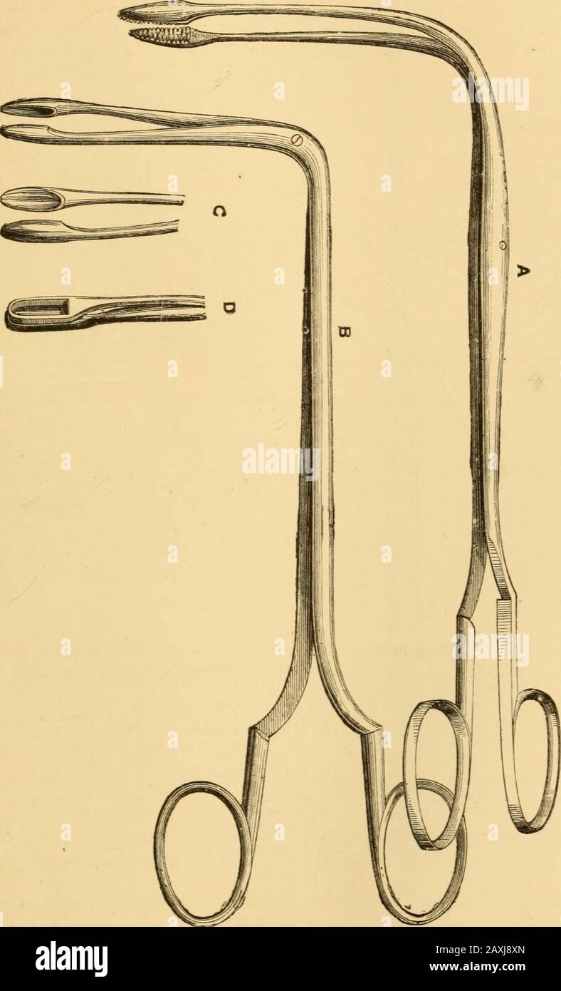 Diseases of the throat and nasal passages; a guide to the diagnosis and ...