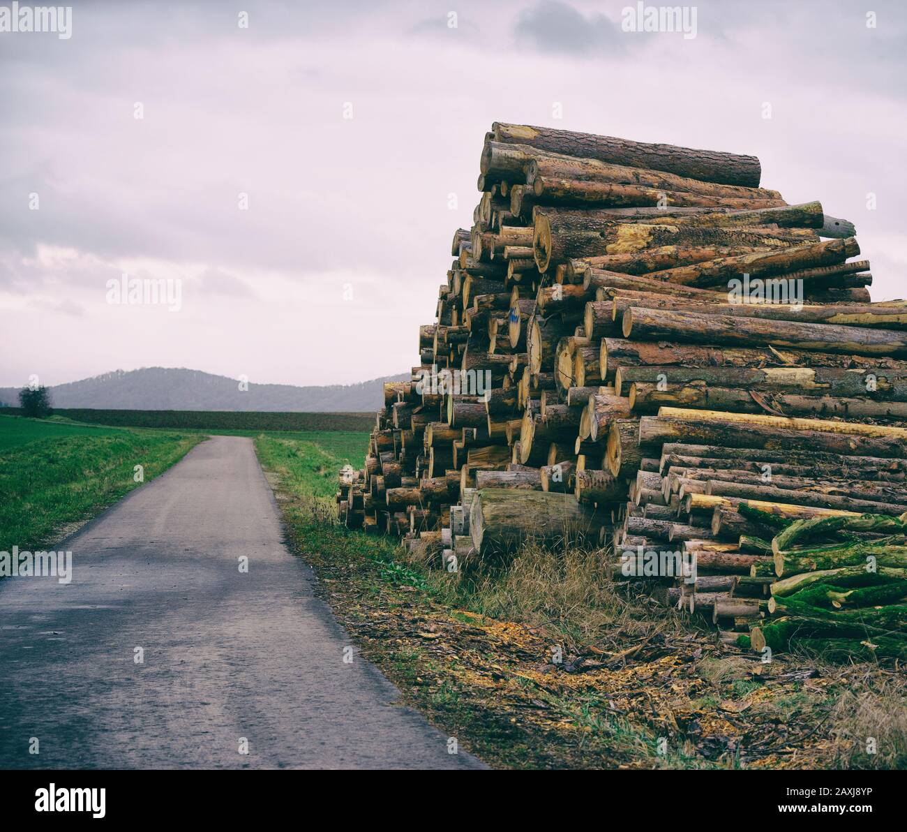 Stacked firewood beside a small country road Stock Photo - Alamy
