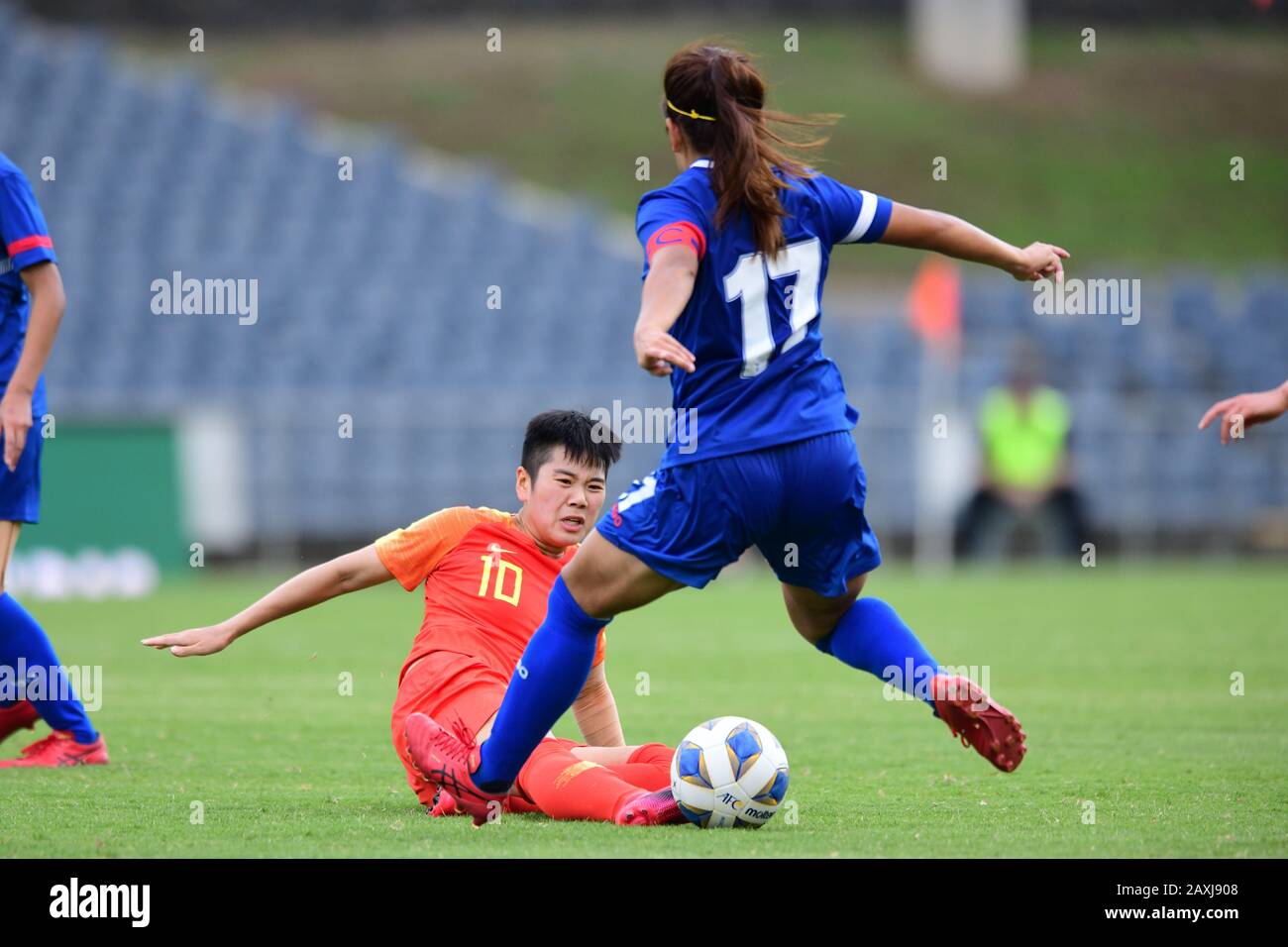 Ling chi hi-res stock photography and images - Alamy