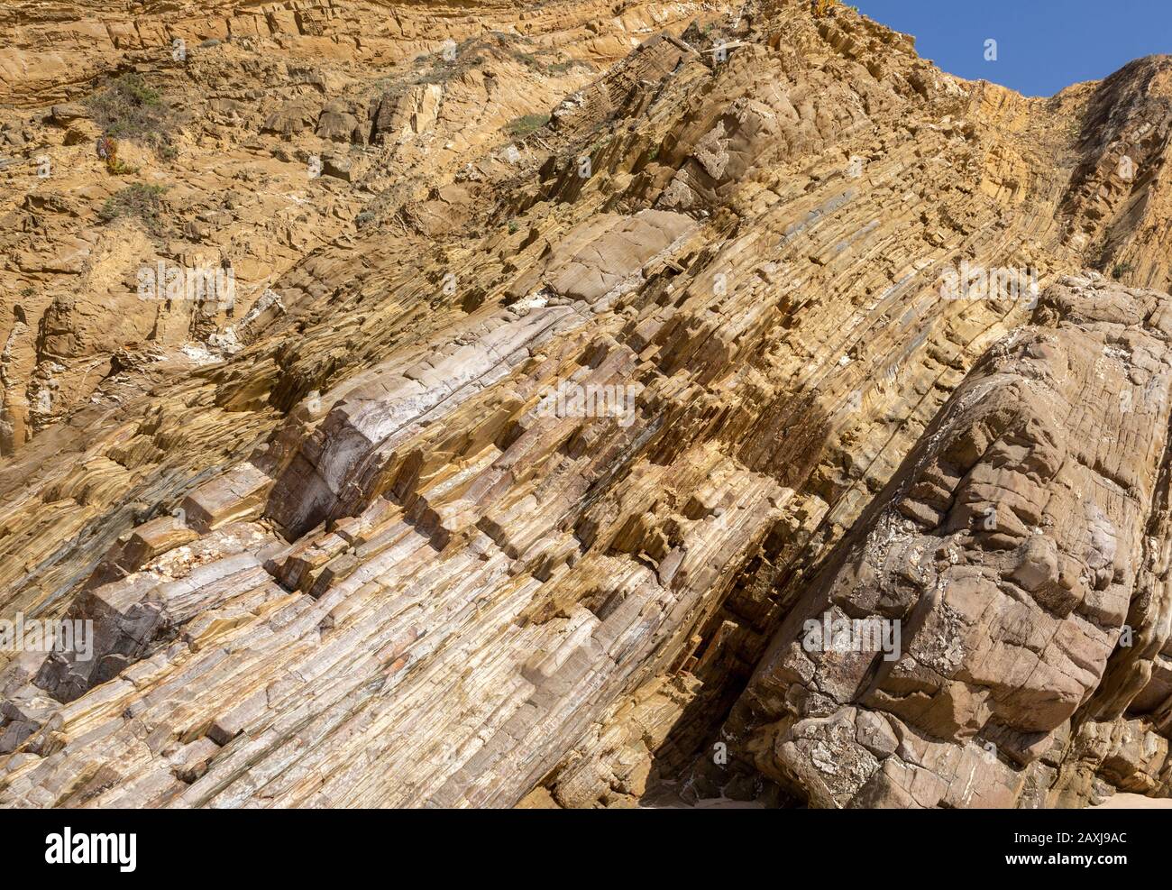 Folded sedimentary rock strata dipping downwards in cliff at Praia dos ...