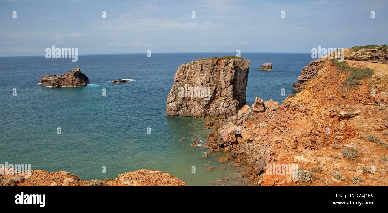 Sea Stumps
