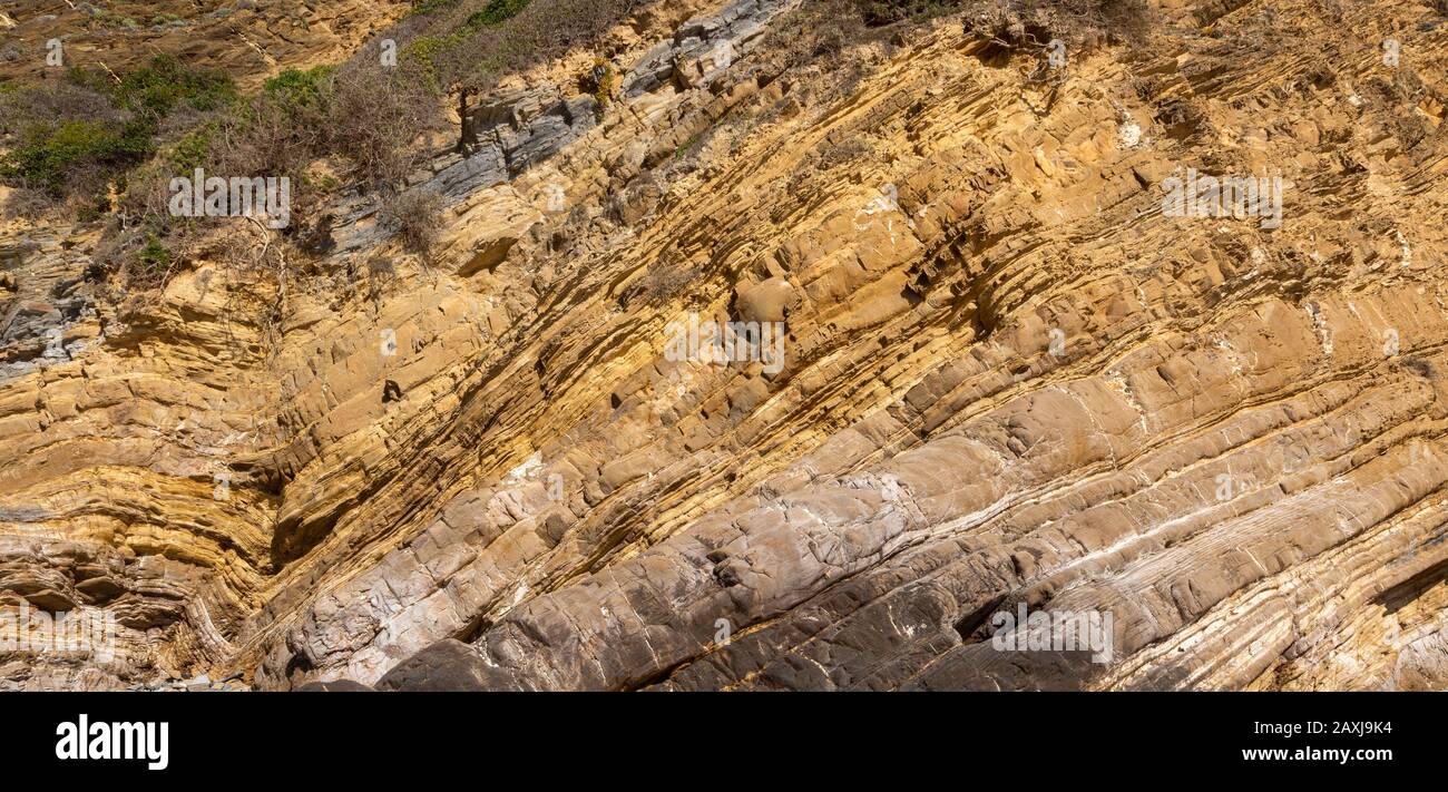 Strata of sandstone sedimentary rock coastal cliff layers folded ...