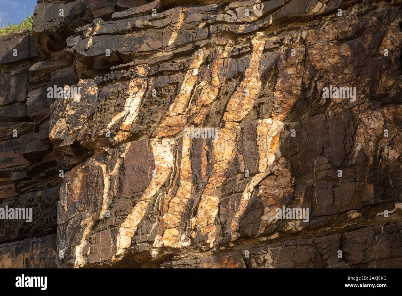 White veins quartzite dykes crossing layers of metamorphosed ...