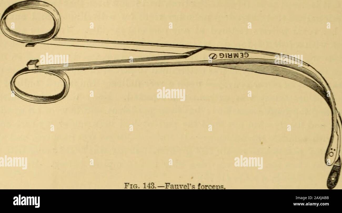 Sponge Forceps High Resolution Stock Photography and Images - Alamy