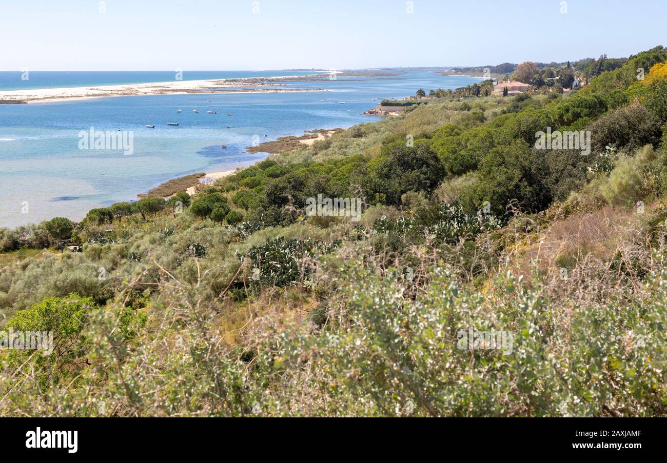 Coastal wooded landscape of pristine beaches and lagoon behind offshore ...