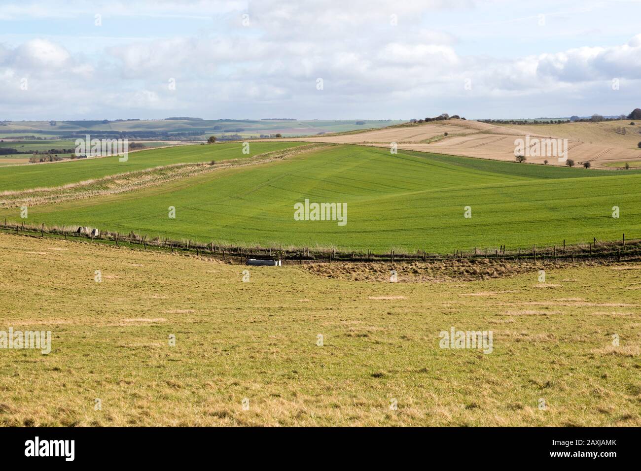 Undulating countryside upland chalk landscape in winter downland area ...