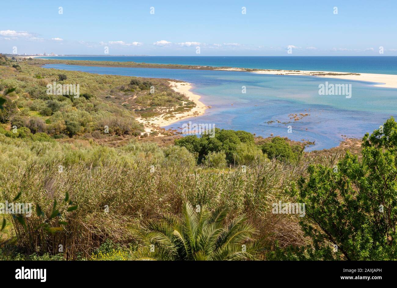 Coastal wooded landscape of pristine beaches and lagoon behind offshore ...