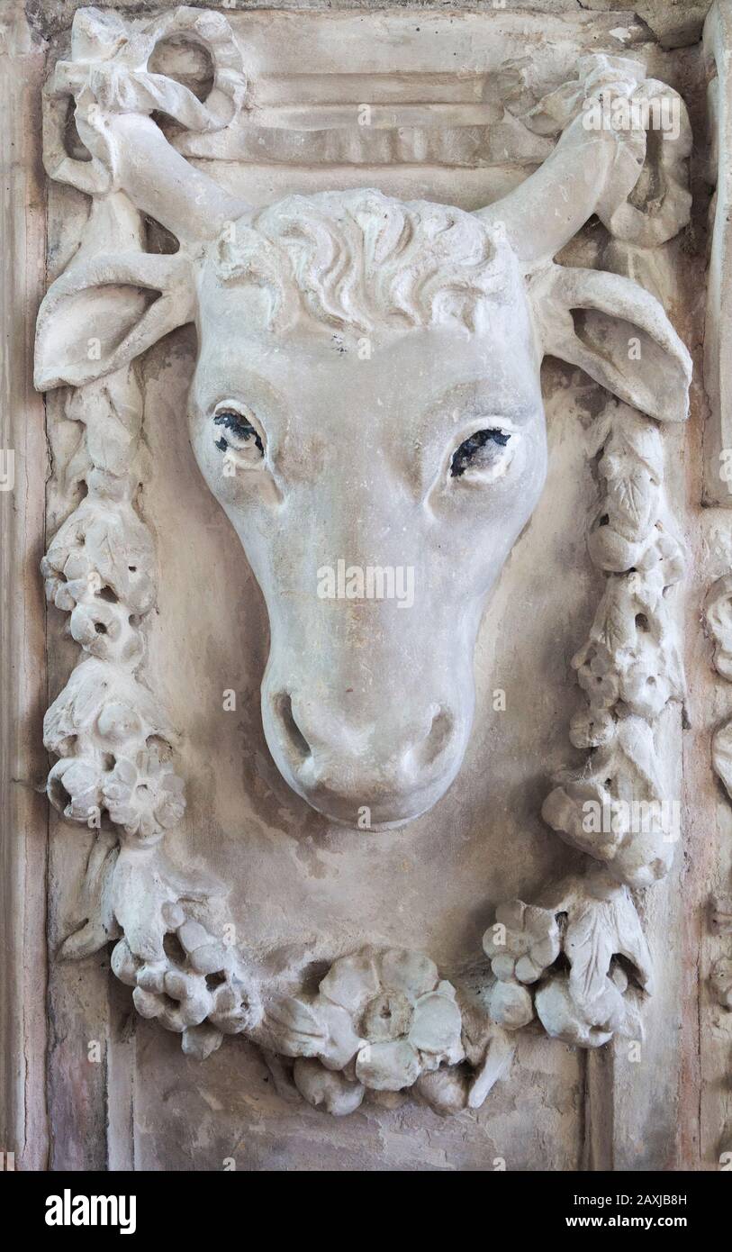 Close up horned cow head sculpted plaster, artwork tomb memorial cattle ...