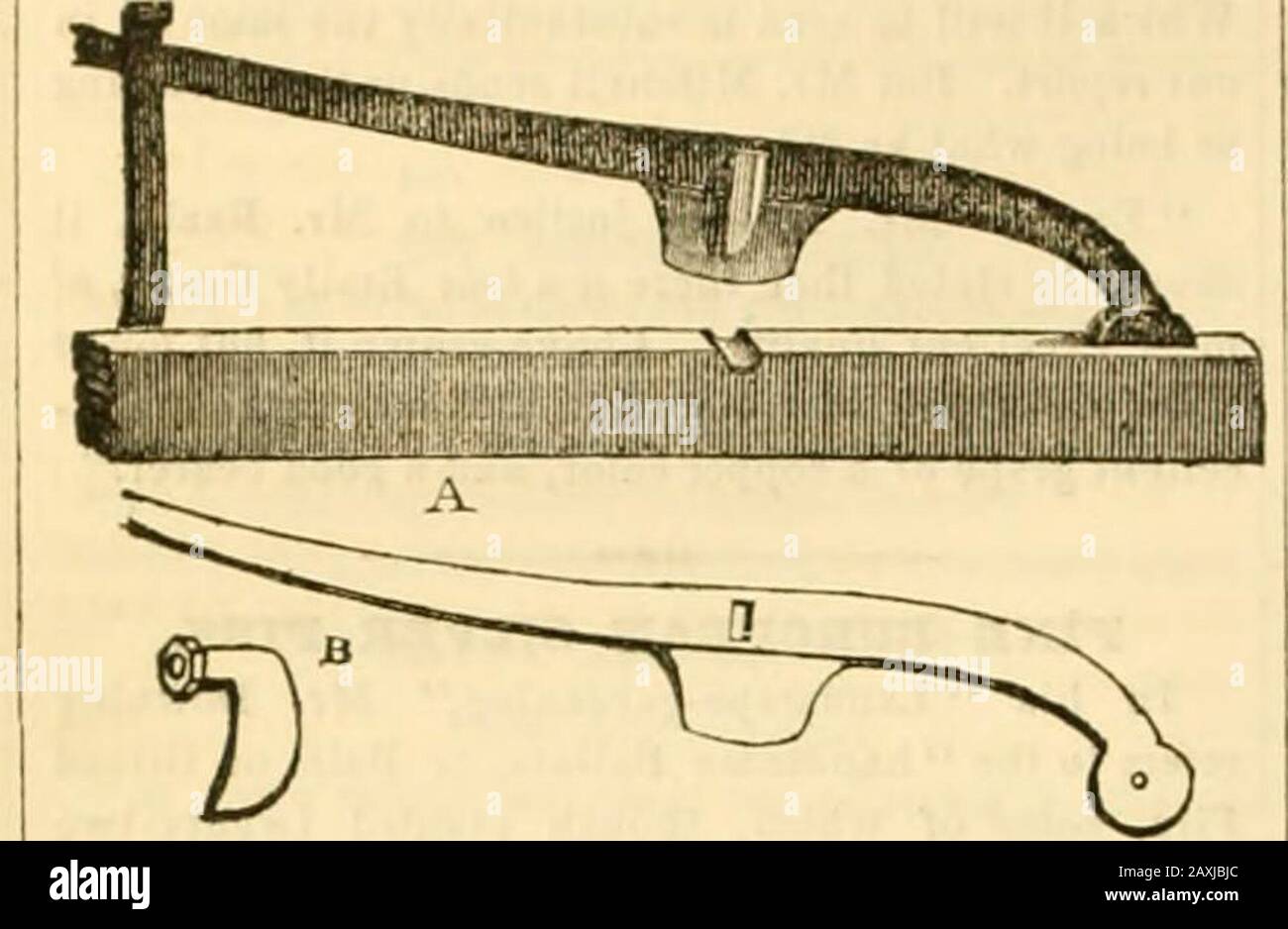 The Gardener’s monthly and horticultural advertiser . ROBETS ROOT ...