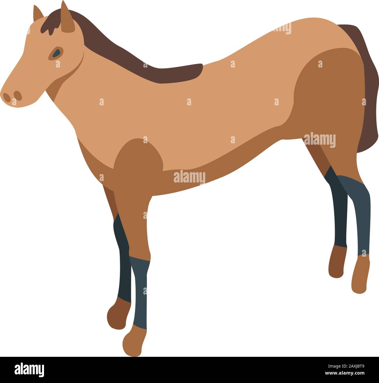 Western horse icon, isometric style Stock Vector Image & Art - Alamy