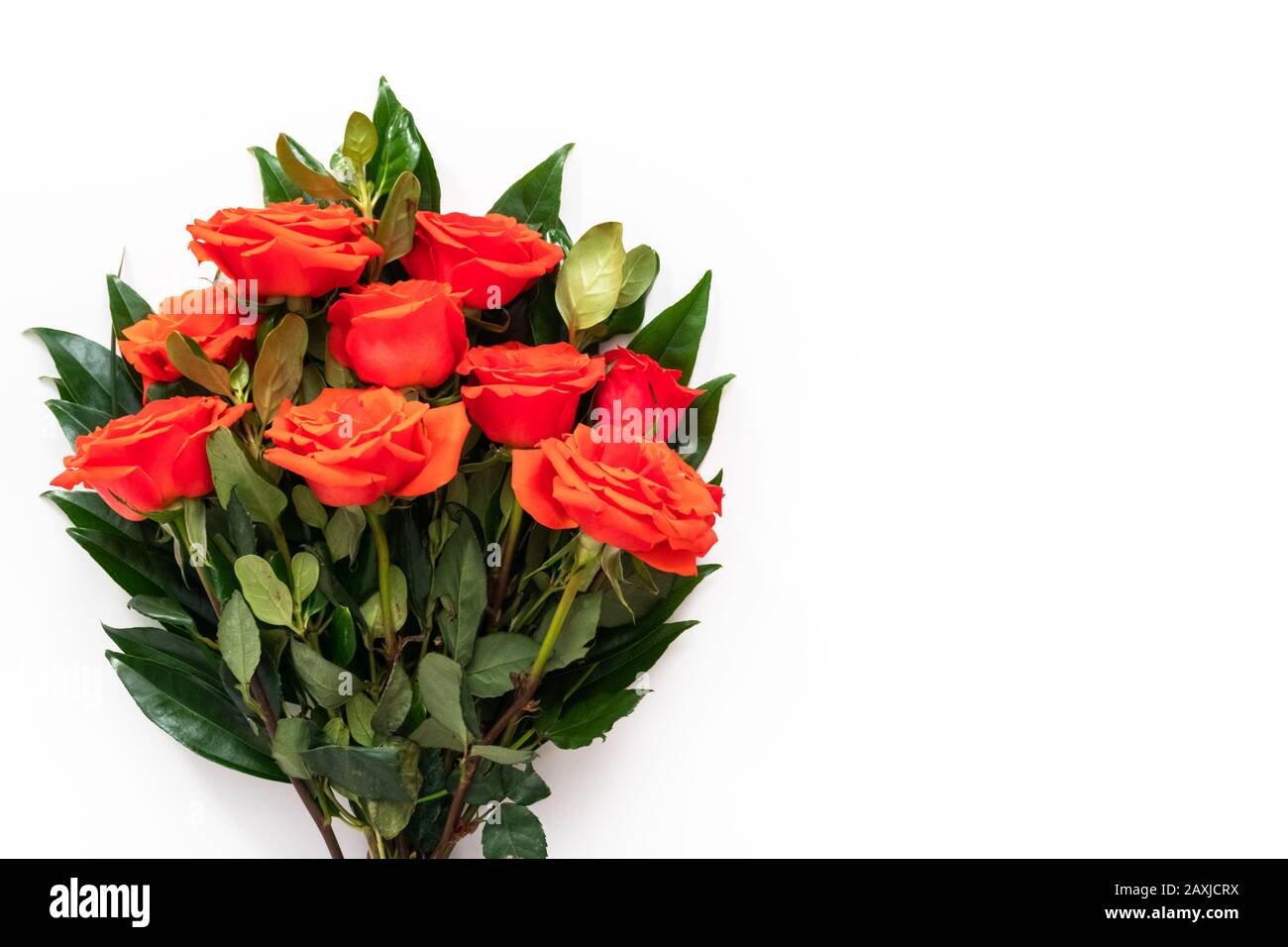 Flat lay. Bouquet of red roses and green leaves on a white background ...
