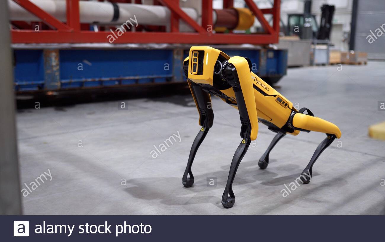 Spot Robot Stock Photos & Spot Robot Stock Images - Alamy
