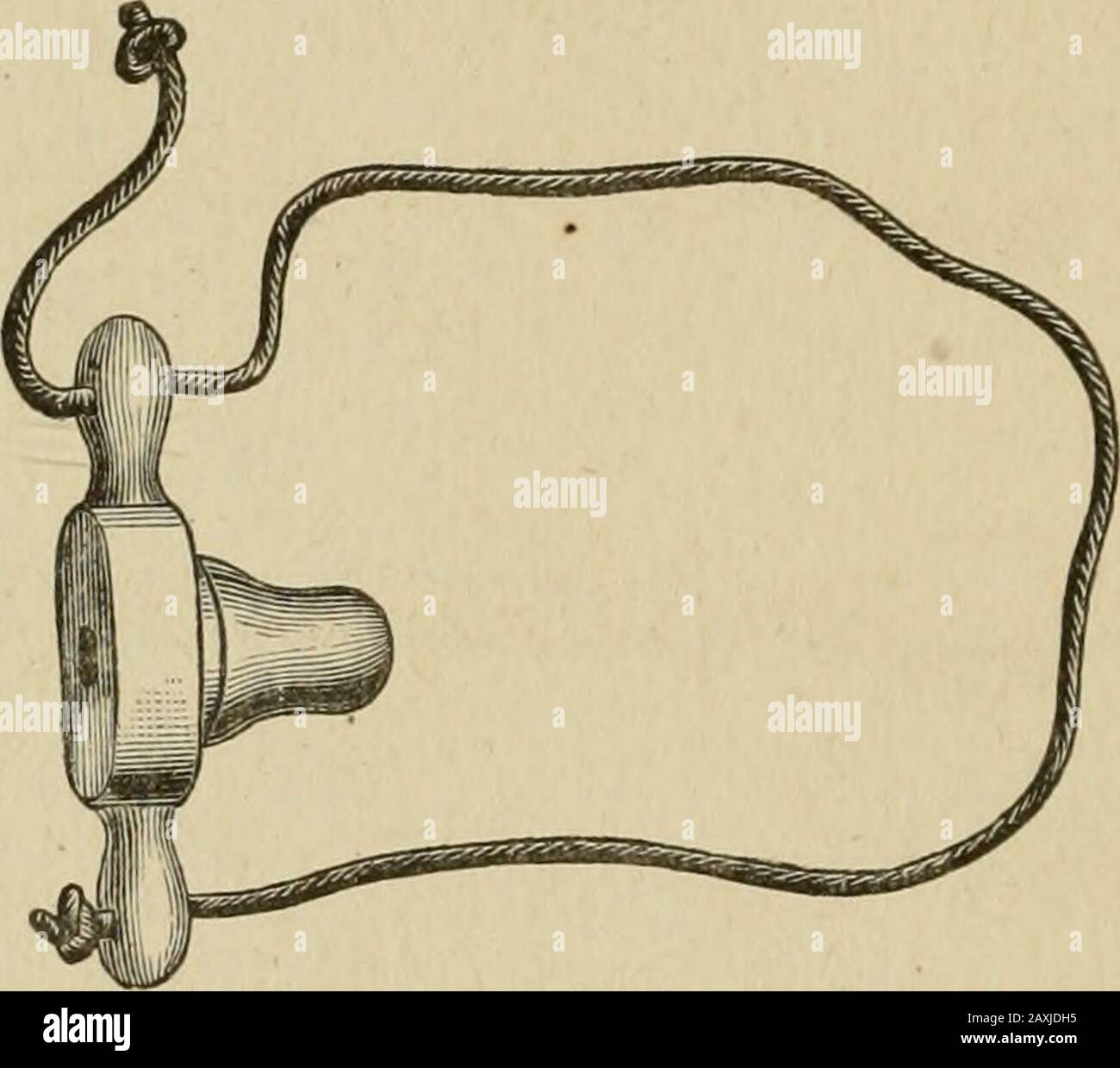 Hind extremities hi-res stock photography and images - Alamy