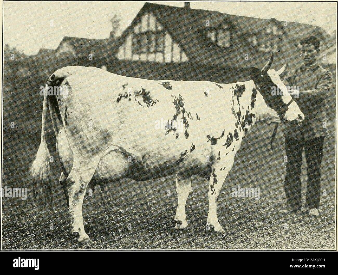 Cattle barons hi-res stock photography and images - Alamy
