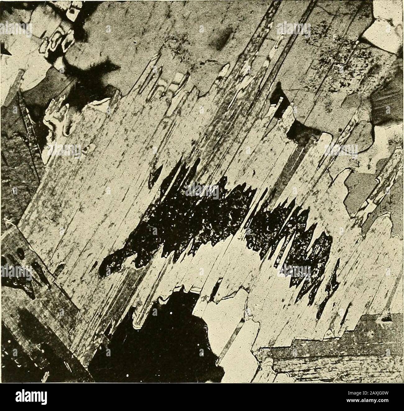 Hematite Thin Section