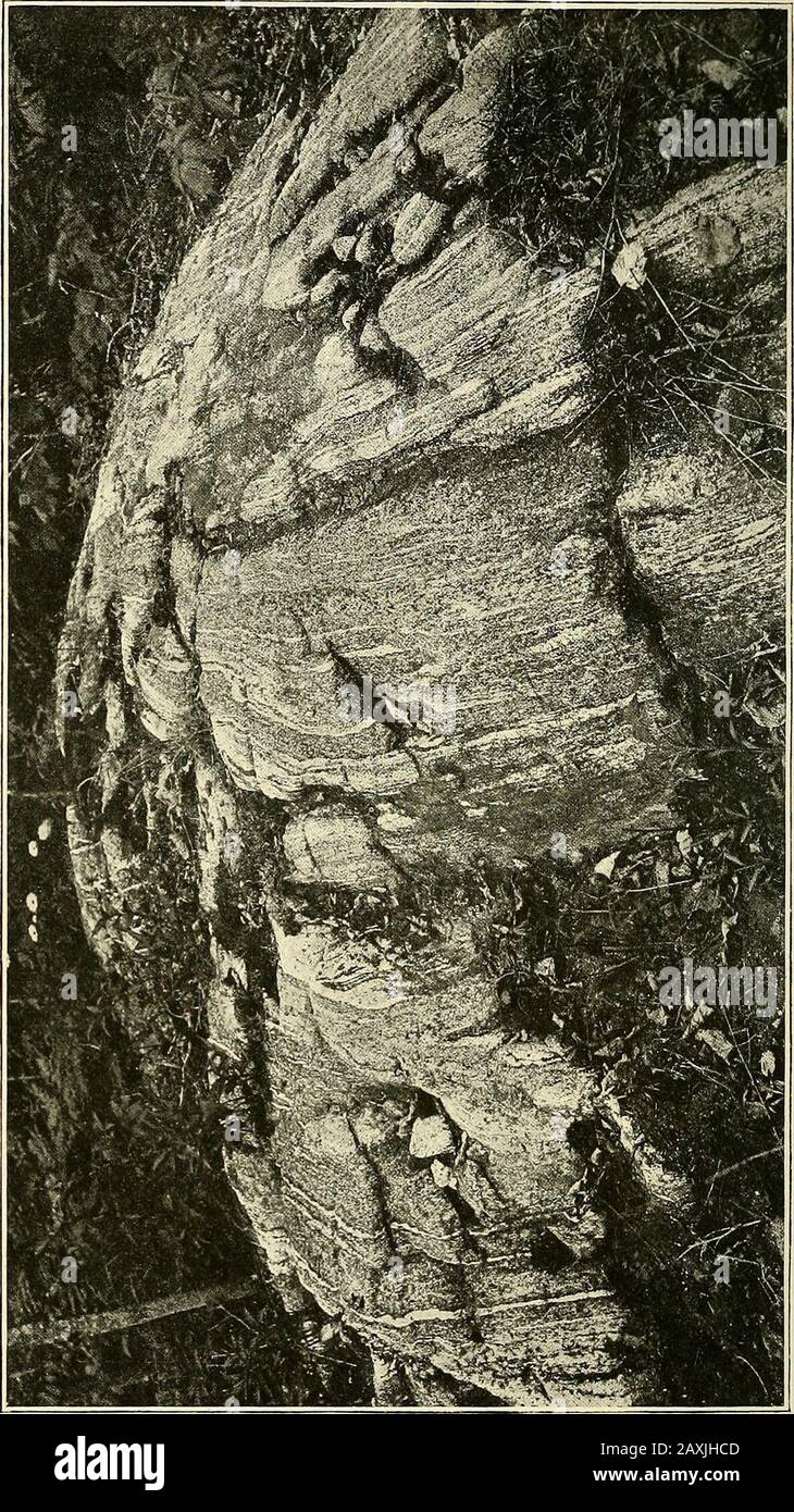 Biotite series hi-res stock photography and images - Alamy