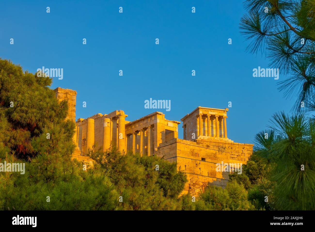 Pine tree branches greece hi-res stock photography and images - Alamy