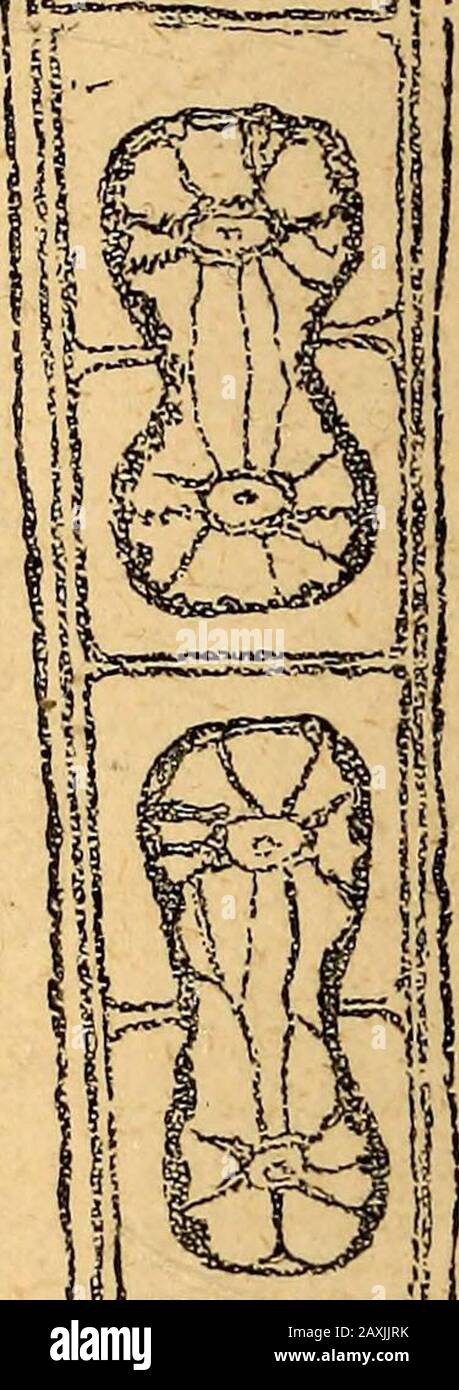 Text-book of structural and physiological botany . iin Fig. 55 II.—Free ...