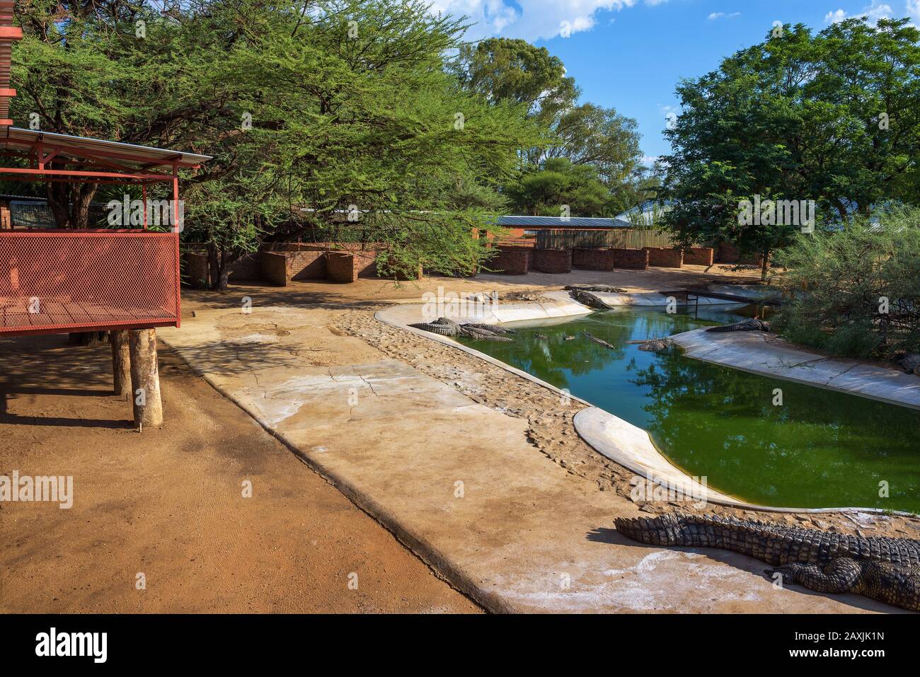 Africa crocodile ranch hi-res stock photography and images - Alamy