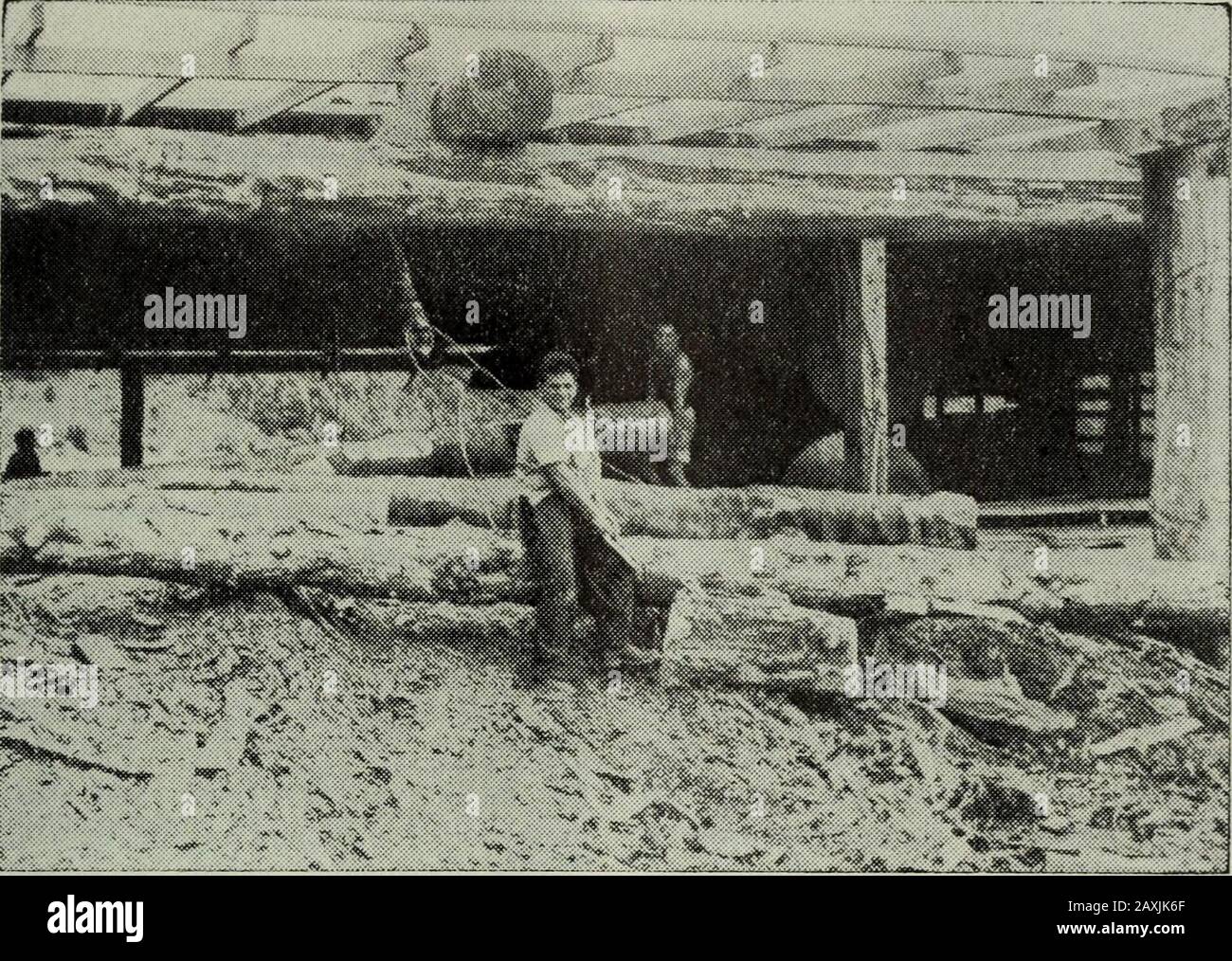 Matthew felling hi-res stock photography and images - Alamy