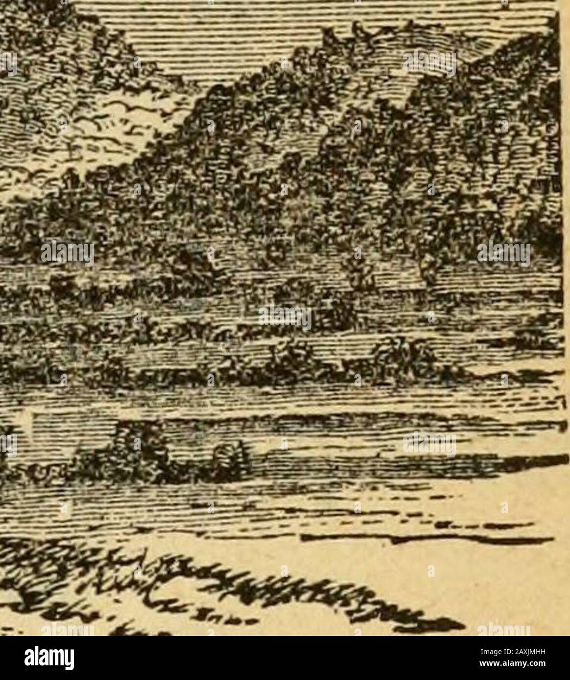 Al granger hi-res stock photography and images - Alamy