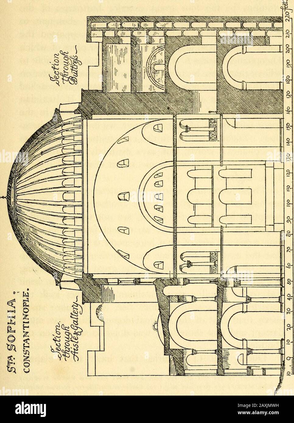 Buttress Romanesque Diagram