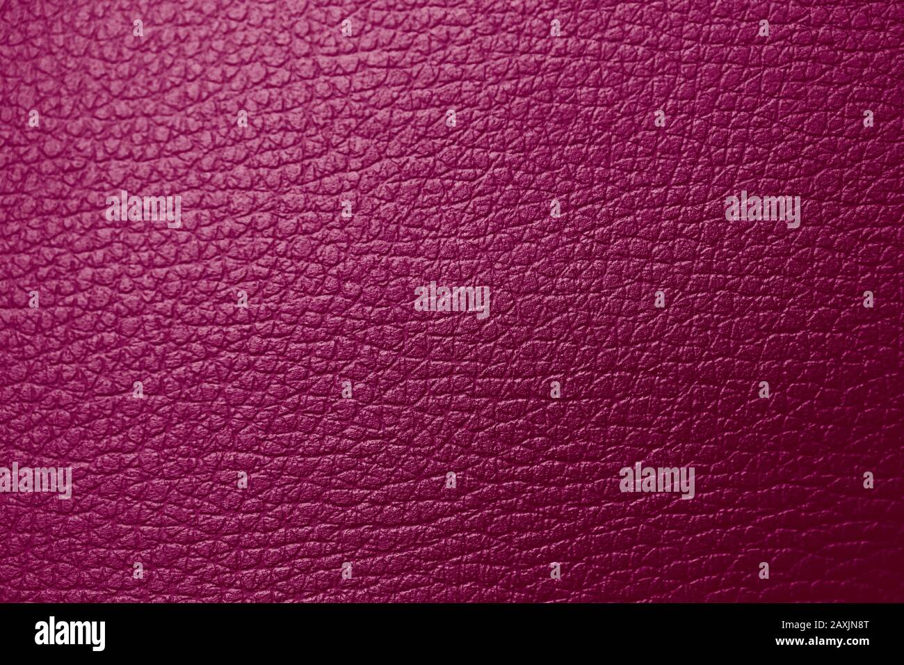 Texture of genuine leather raspberry burgundy maroon red magenta tone ...