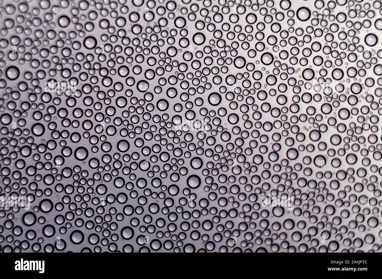 Transparent round water drops pattern Stock Photo - Alamy