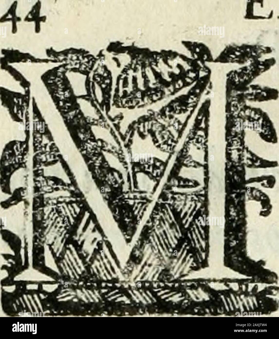 Marchito marchito hi-res stock photography and images - Alamy