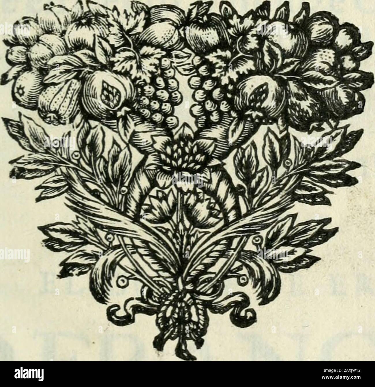 Tumba de flor hi-res stock photography and images - Alamy