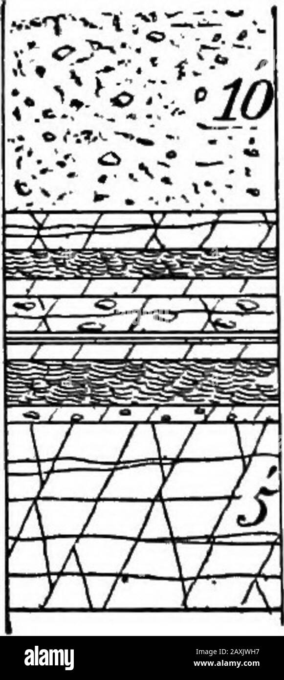Sandstone rock stratum Black and White Stock Photos & Images - Alamy