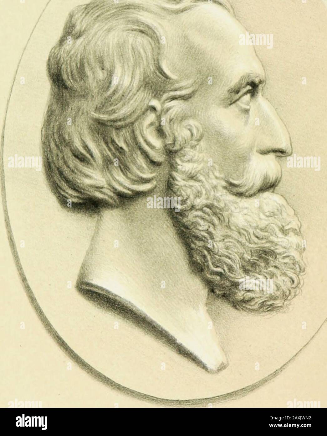 Thomas hodgkin hi-res stock photography and images - Alamy