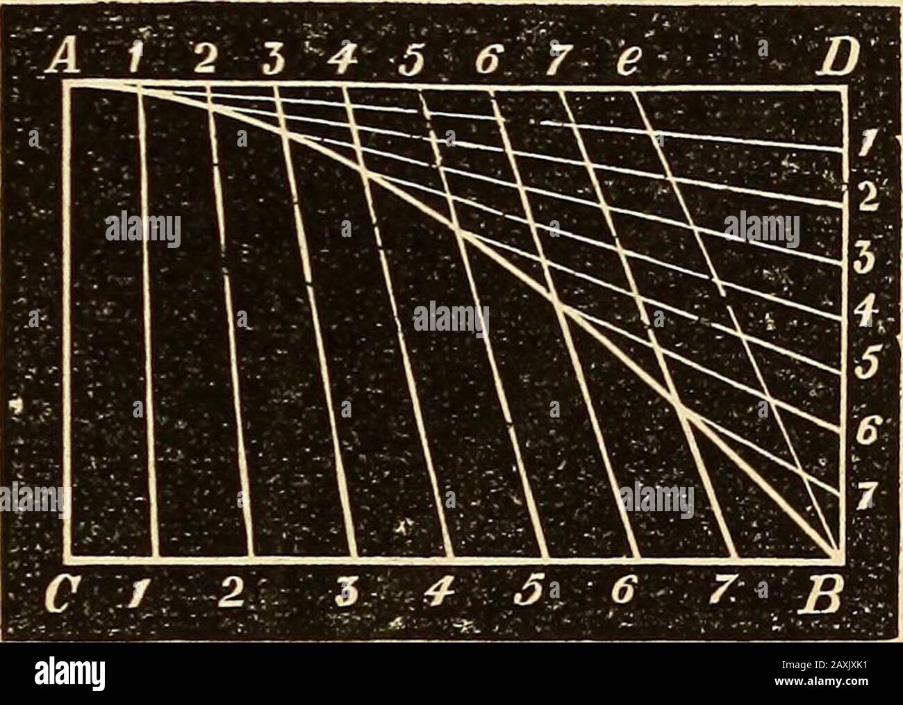 One Fourth Rectangle