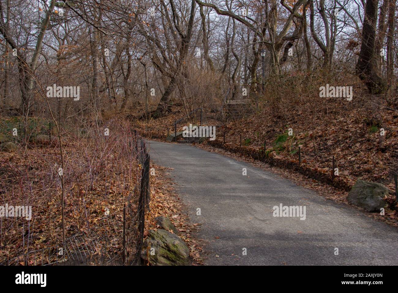 Central park paths hi-res stock photography and images - Alamy