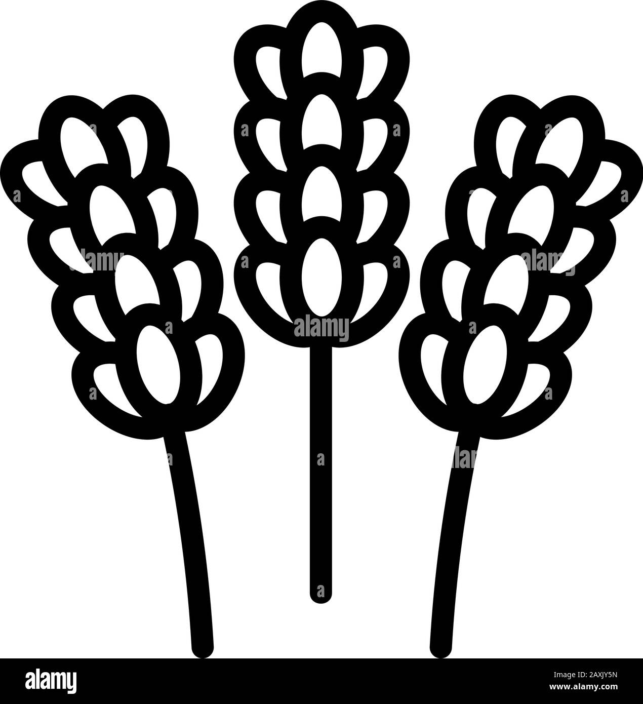 Lavender flower icon vector. Isolated contour symbol illustration Stock ...