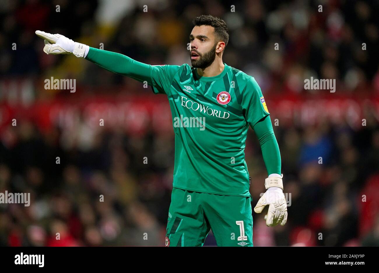 Brentford goalkeeper David Raya Martin Stock Photo - Alamy